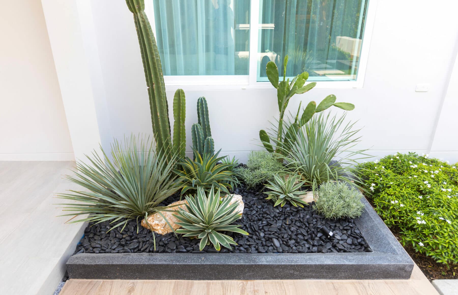 DESIGN 101: Planning a Garden Border Part 1