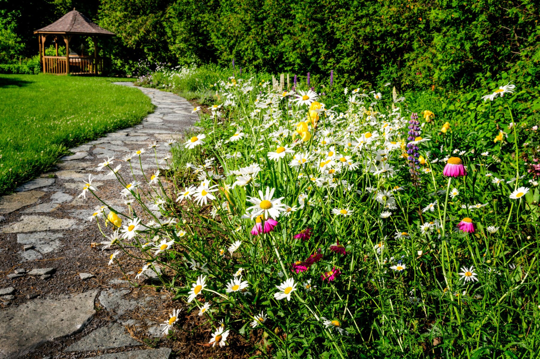 DESIGN 101: Planning a Garden Border Part 1