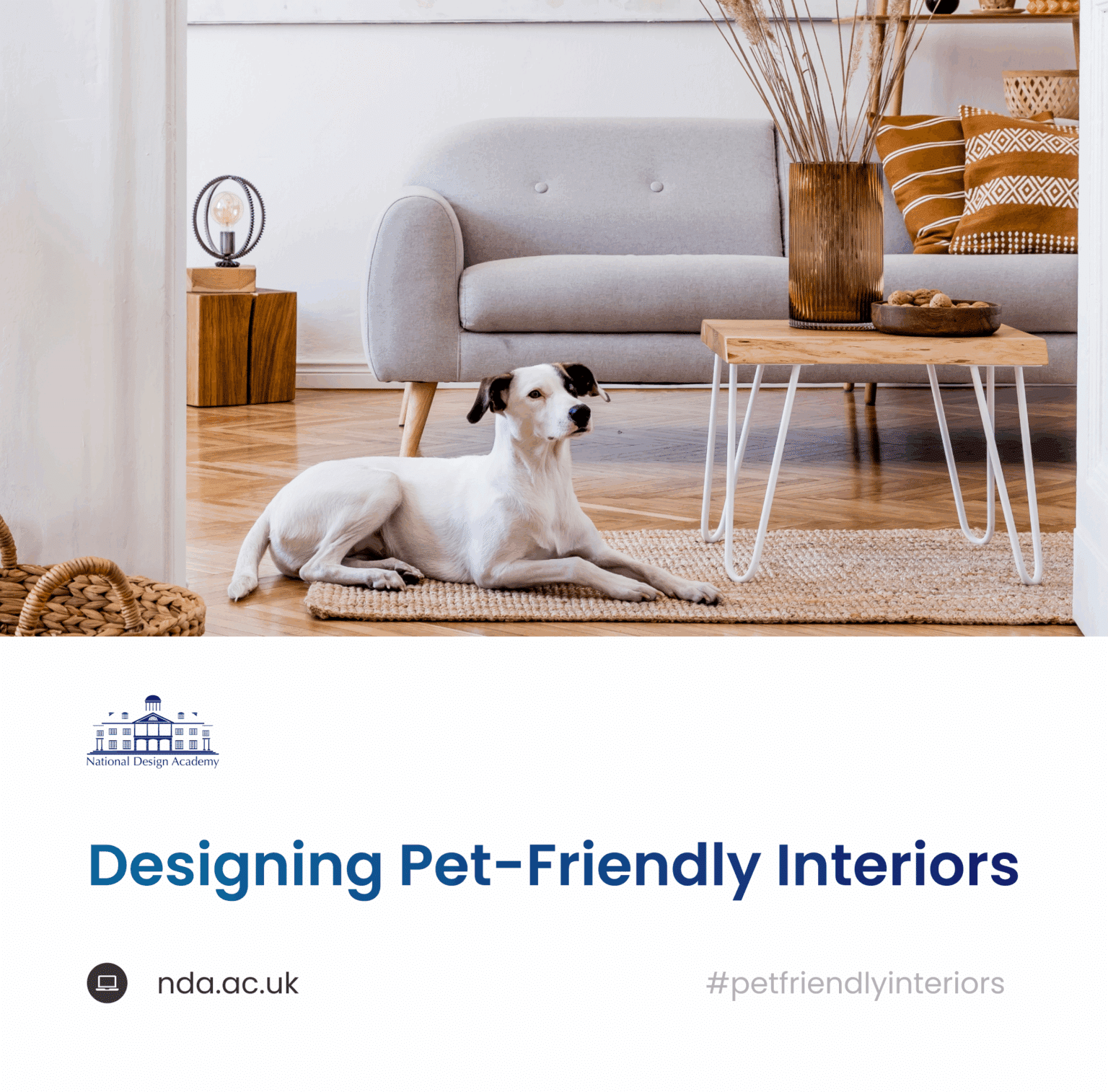 Blog | National Design Academy