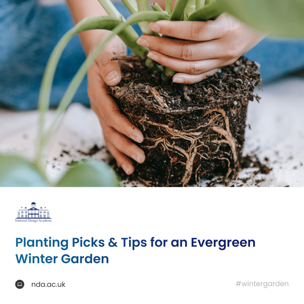 Planting Picks and Tips for an Evergreen Winter Garden - National ...
